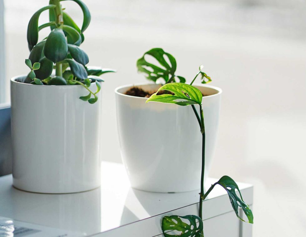 About | Erin Ridge Family Health Centre